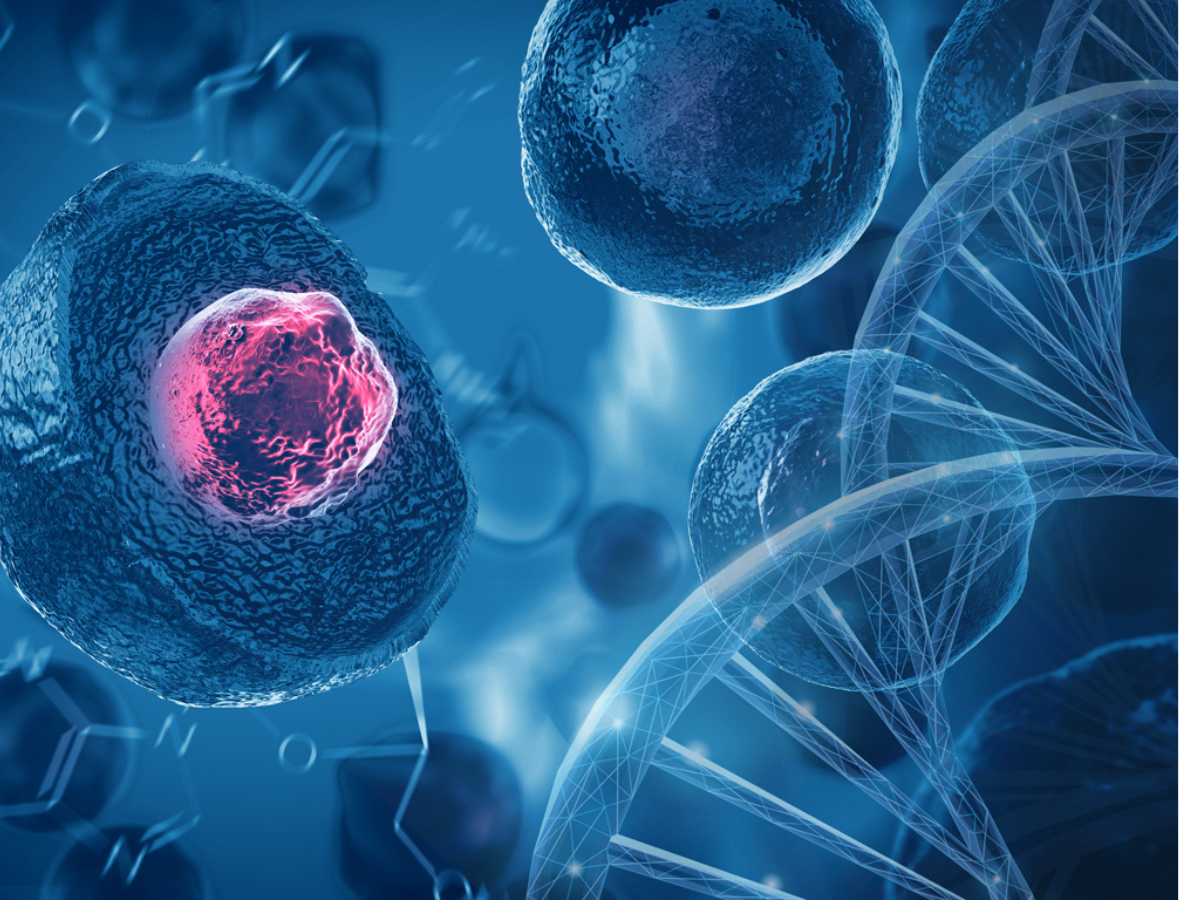 Explore various medical conditions and diseases that can be treated or ...